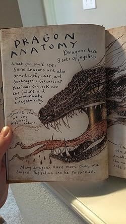 The Complete Book of Dragons: A Guide to Dragon Species by Cressida ...