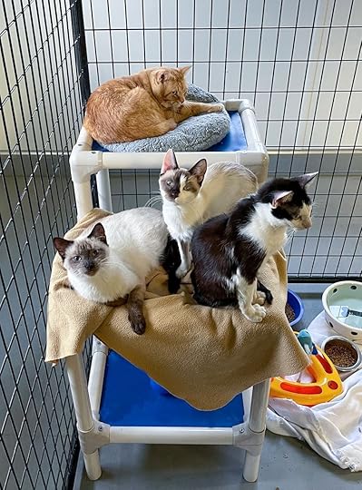 Shelter in Garnet Run (Garnet Run, #4.5) by Roan Parrish | Goodreads