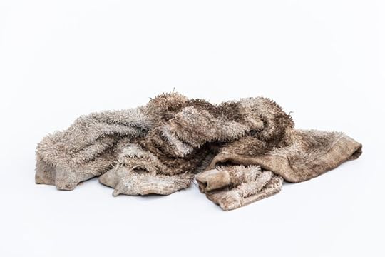 The Rag Thing by David Grinnell | Goodreads