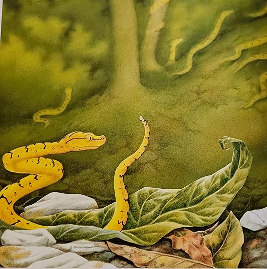 Verdi by Janell Cannon | Goodreads