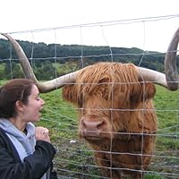 Adverbs by Daniel Handler | Goodreads