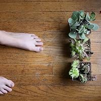 A Book of Memories by Péter Nádas | Goodreads