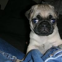 Monkey Beach by Eden Robinson | Goodreads