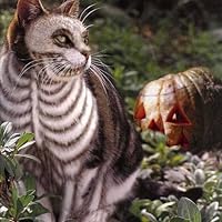 Prometheus Rising by Robert Anton Wilson | Goodreads