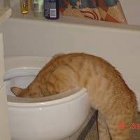 Medical Apartheid: The Dark History of Medical Experimentation on Black ...