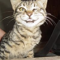 Nadia's Hands by Karen English | Goodreads