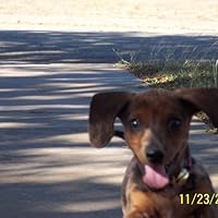 Seductive Poison: A Jonestown Survivor's Story of Life and Death in the ...