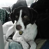 Saints at the River by Ron Rash | Goodreads