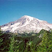 Small Steps: The Year I Got Polio (Anniversary Edition) by Peg Kehret ...