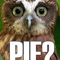 Flinx in Flux (Pip & Flinx, #6) by Alan Dean Foster | Goodreads