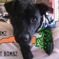 What Is to Be Done? by Nikolai Chernyshevsky | Goodreads