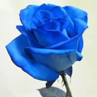 When Love Is Not Enough: A Guide to Parenting With RAD-Reactive ...