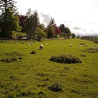 The Lemming Condition by Alan Arkin | Goodreads