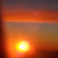 My Life in Dog Years by Gary Paulsen | Goodreads