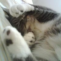 Who Am I? The 16 Basic Desires That Motivate Our Actions and Define Our ...