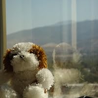 Just for You (A Golden Look-Look Book) by Mercer Mayer | Goodreads