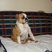 Raptor by Gary Jennings | Goodreads