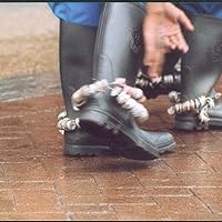 The God of Animals by Aryn Kyle | Goodreads