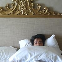 The Architect of Desire: Beauty and Danger in the Stanford White Family ...