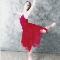 Alice in Quantumland: An Allegory of Quantum Physics by Robert Gilmore ...