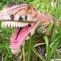 Dingoes at Dinnertime (Magic Tree House, #20) by Mary Pope Osborne ...