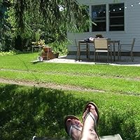 The House of Blue Leaves by John Guare | Goodreads