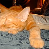 Fairies: Real Encounters With Little People by Janet Bord | Goodreads