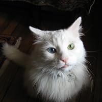 Leonardo da Vinci: Flights of the Mind by Charles Nicholl | Goodreads