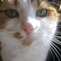 After Eli by Rebecca Rupp | Goodreads