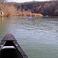 An Introduction to Language by Victoria A. Fromkin | Goodreads