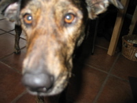 Dirty Weekend by Helen Zahavi | Goodreads