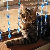 The Dawn Star (Lost Continent, #3) by Catherine Asaro | Goodreads