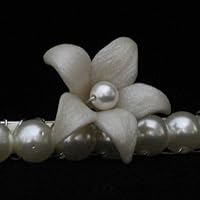 Shadows on the Koyukuk: An Alaskan Native's Life Along the River by ...