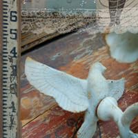 Girl Soldier: A Story of Hope for Northern Uganda's Children by Faith J ...