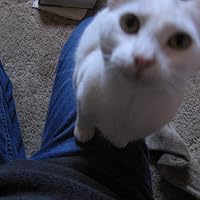 Dirty Weekend by Helen Zahavi | Goodreads