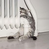 Fogged Inn (A Maine Clambake Mystery, #4) by Barbara Ross | Goodreads