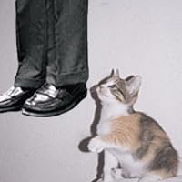 Finding Laura Buggs by Stanley Gordon West | Goodreads