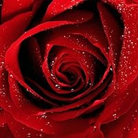 Dread Mountain (Deltora Quest, #5) by Emily Rodda | Goodreads