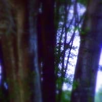 In the Year of the Boar and Jackie Robinson by Bette Bao Lord | Goodreads