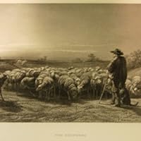 Wild: An Elemental Journey by Jay Griffiths | Goodreads