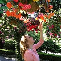 The RDI Book: Forging New Pathways For Autism, Asperger's And PDD With ...