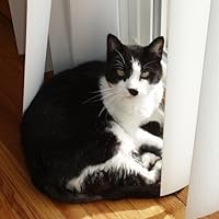 Tinder Box: The Iroquois Theatre Disaster 1903 by Anthony P. Hatch ...