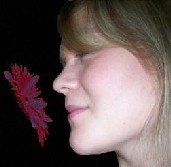 Deep Simplicity: Bringing Order to Chaos and Complexity by John Gribbin ...