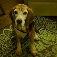 There are No Children Here: The Story of Two Boys Growing Up in the ...