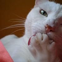 Reading My Father by Alexandra Styron | Goodreads