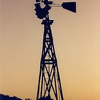 Dawn Rochelle (Dawn Rochelle, #1-4) by Lurlene McDaniel | Goodreads