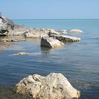 Examining Tuskegee: The Infamous Syphilis Study and Its Legacy by Susan ...