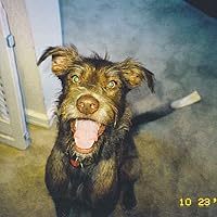 A Splendid Exchange: How Trade Shaped the World by William J. Bernstein ...