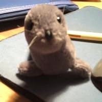 Raptor by Gary Jennings | Goodreads