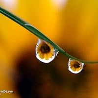 Learning to Fly by Roxanne Henke | Goodreads